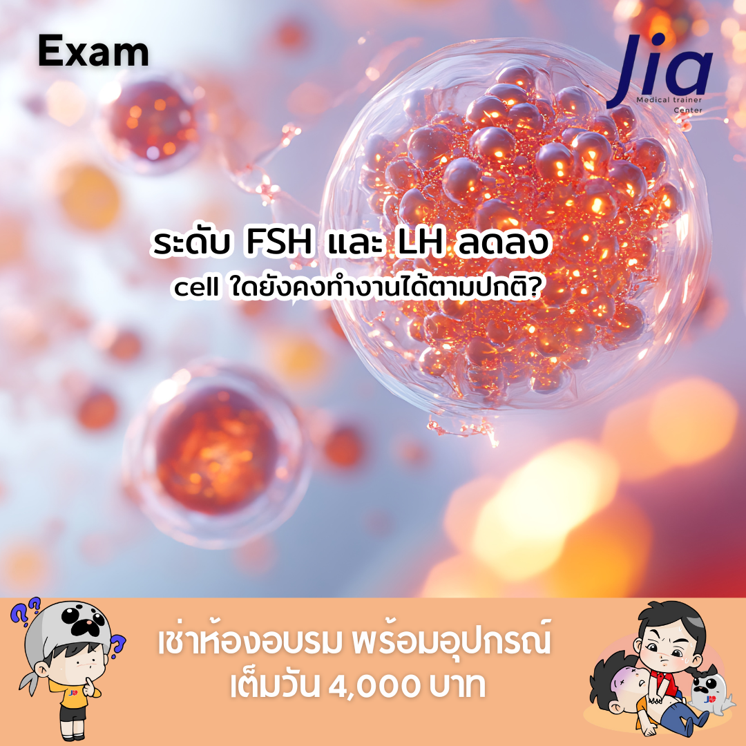 ระดับ FSH และ LH ลดลง cell ใดยังคงทำงานได้ตามปกติ?