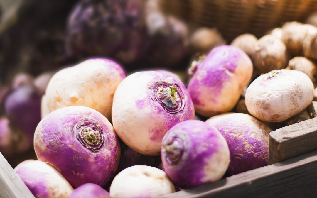 Rutabaga: The Miraculous Root Vegetable I Rimping