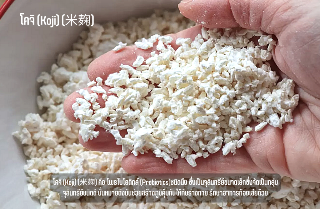 หมูโคจิบูตะญี่ปุ่น (Kojibuta) คืออะไร?