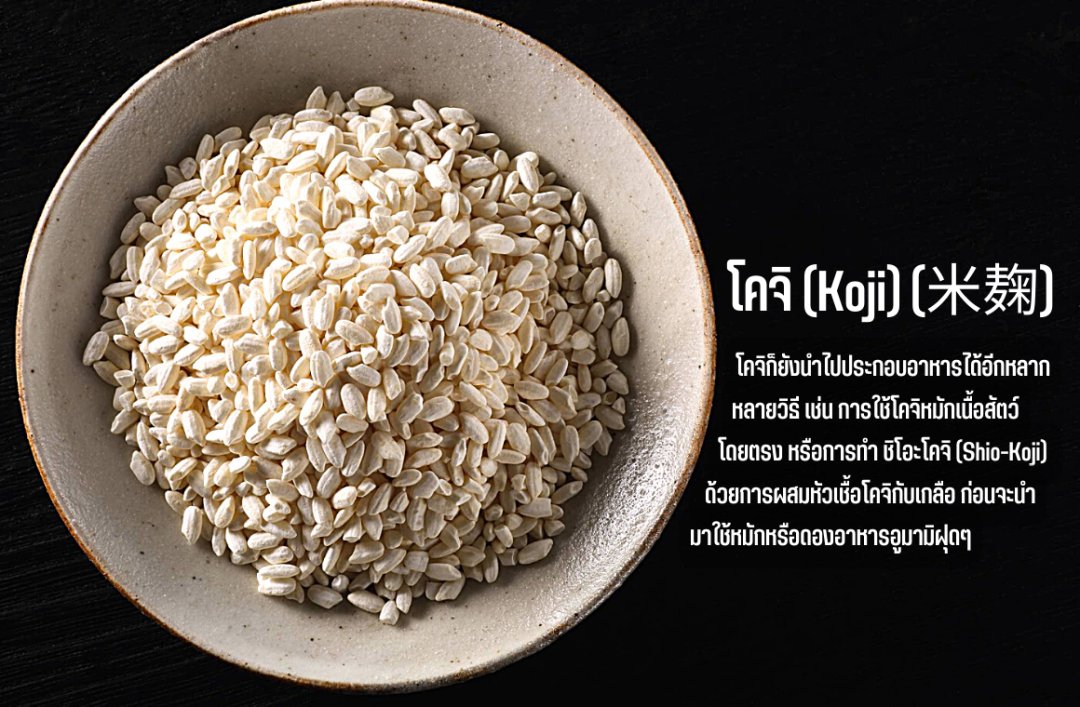 หมูโคจิบูตะญี่ปุ่น (Kojibuta) คืออะไร?