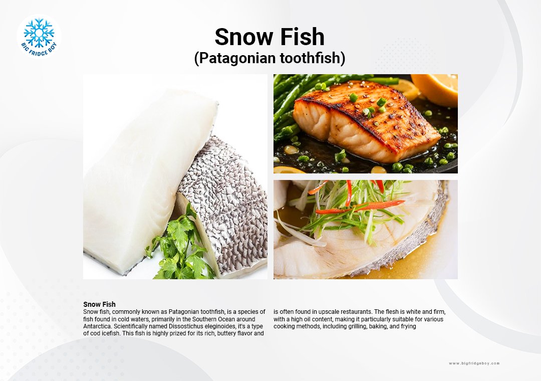 เจาะลึก! "ปลาหิมะ Snow Fish" ที่ต้องรู้..