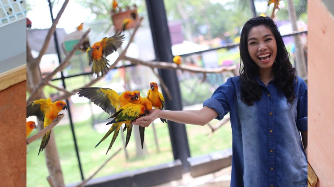 camelrepublicpark.com