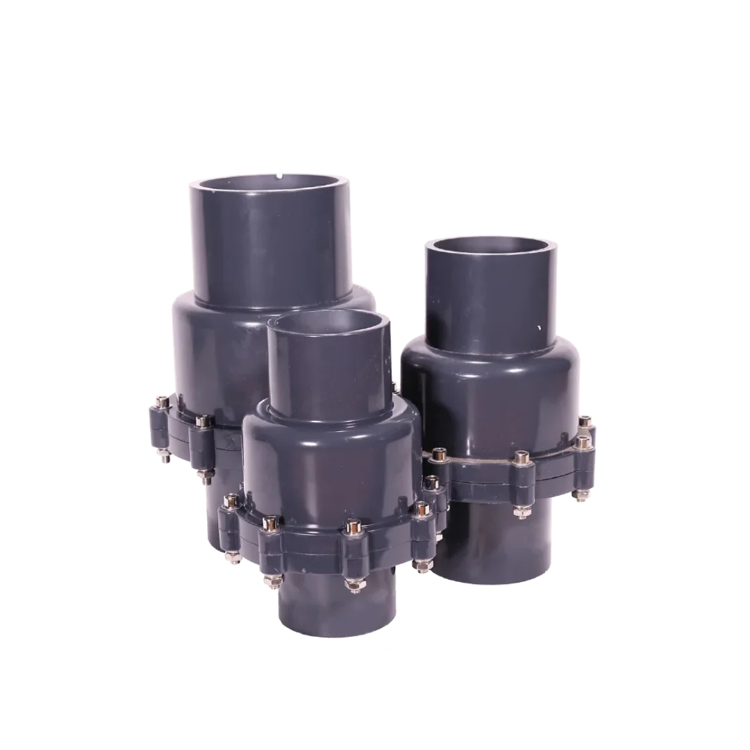 Era Swing Check Valve - Winwinpool จำหน่ายอุปกรณ์สระว่ายน้ำทุกชนิด ปั๊ม ...