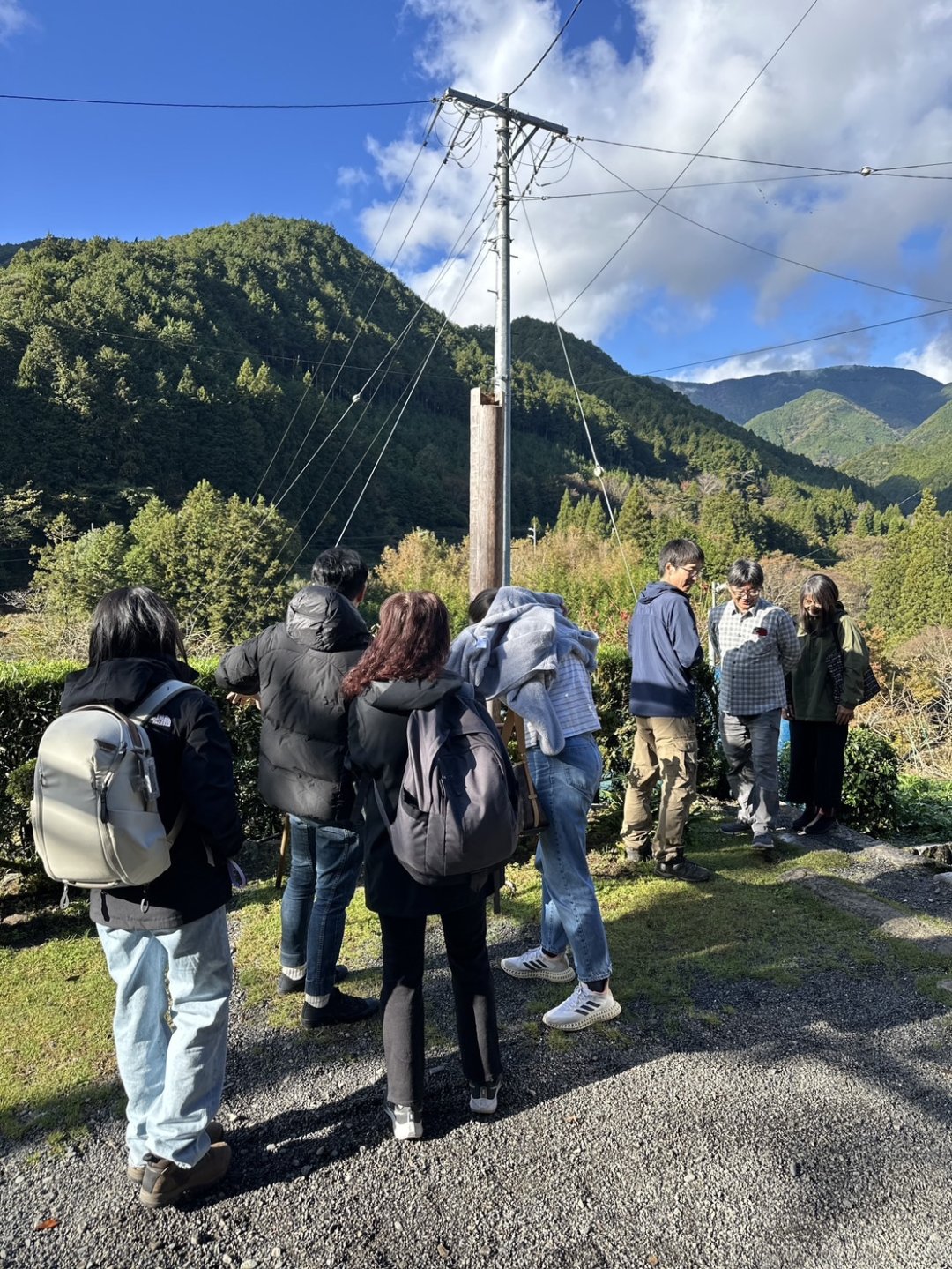 Tea World Experience - Osha Ocha Matcha