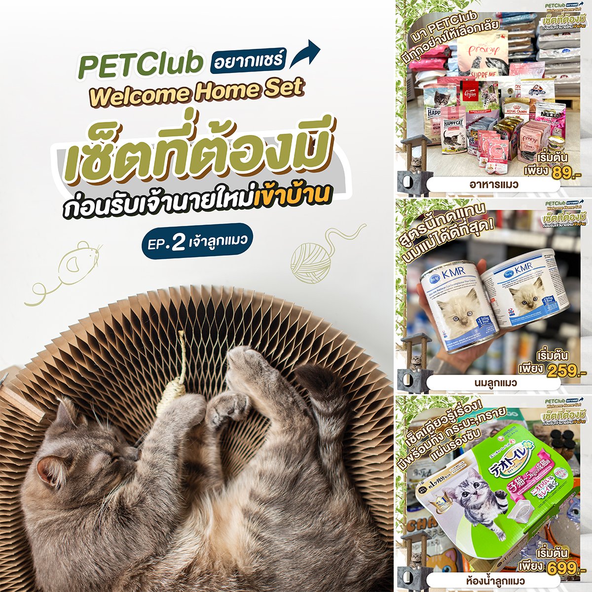 Welcome Home Kitten Set - petclub