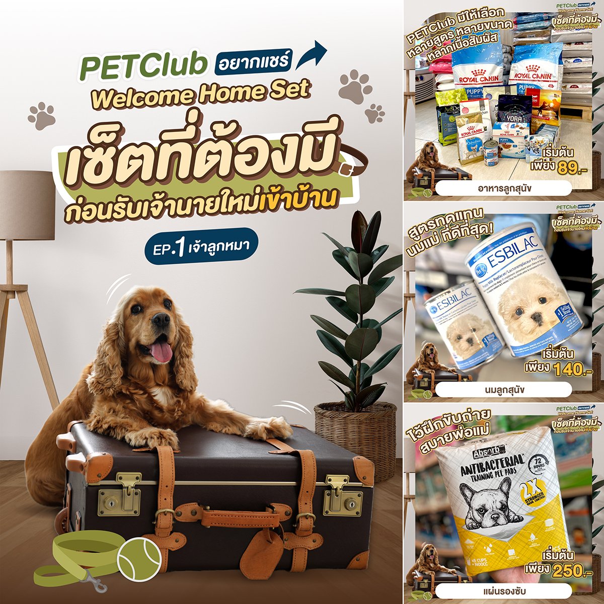 Welcome Home, Puppy Set - petclub