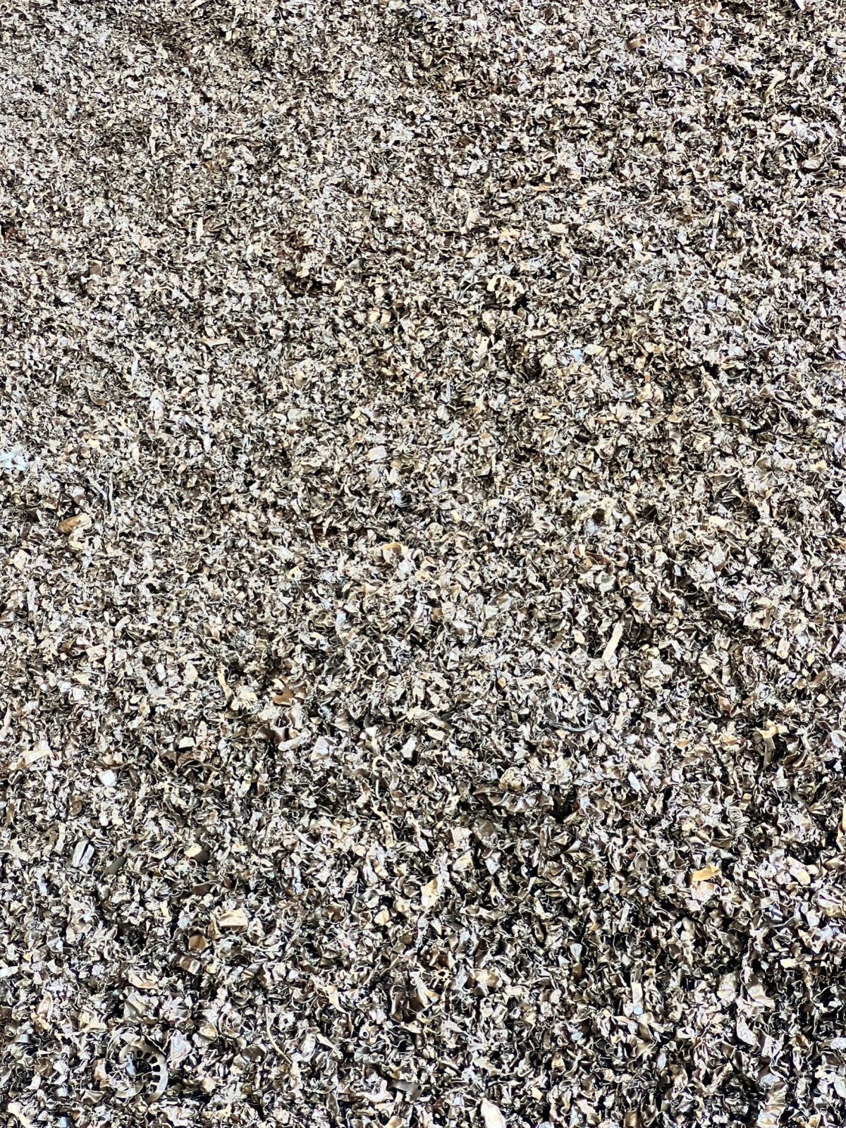 Shredded steel scrap - miracleintertrade