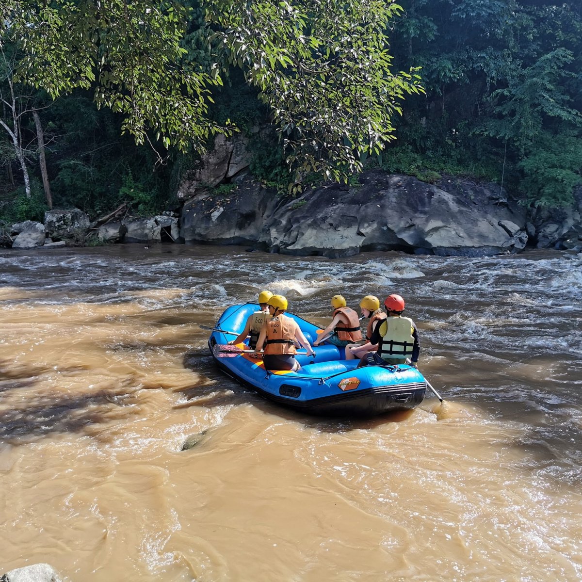 Full Day Experience Trek Mae Tang Area - up-adventure