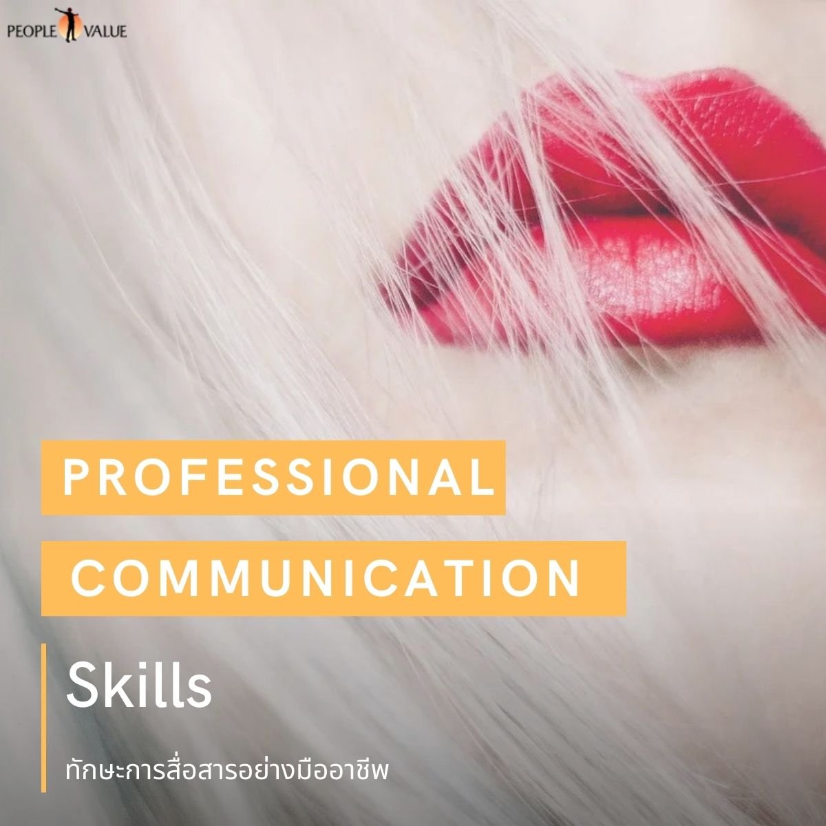 Professional Communication Skills - peoplevalue