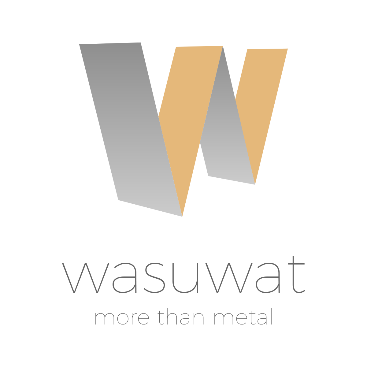 Stainless Maintenance - wasuwat