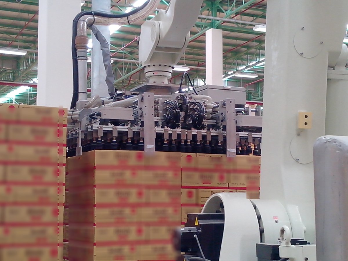 Palletize Box gripper - futurestateasia