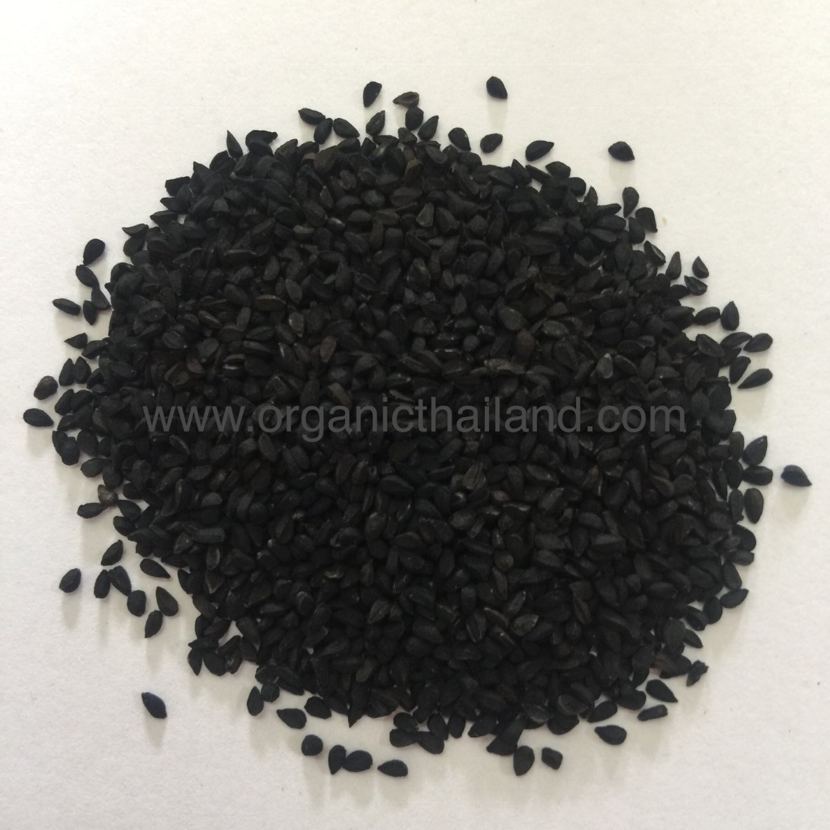 ฺฺBlack Seed 1kg - organicthailand