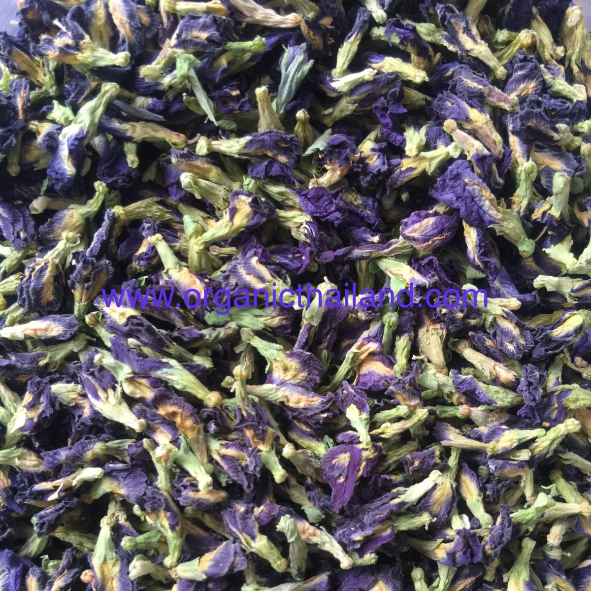 Dried Butterfly Pea Flower 1kg - organicthailand