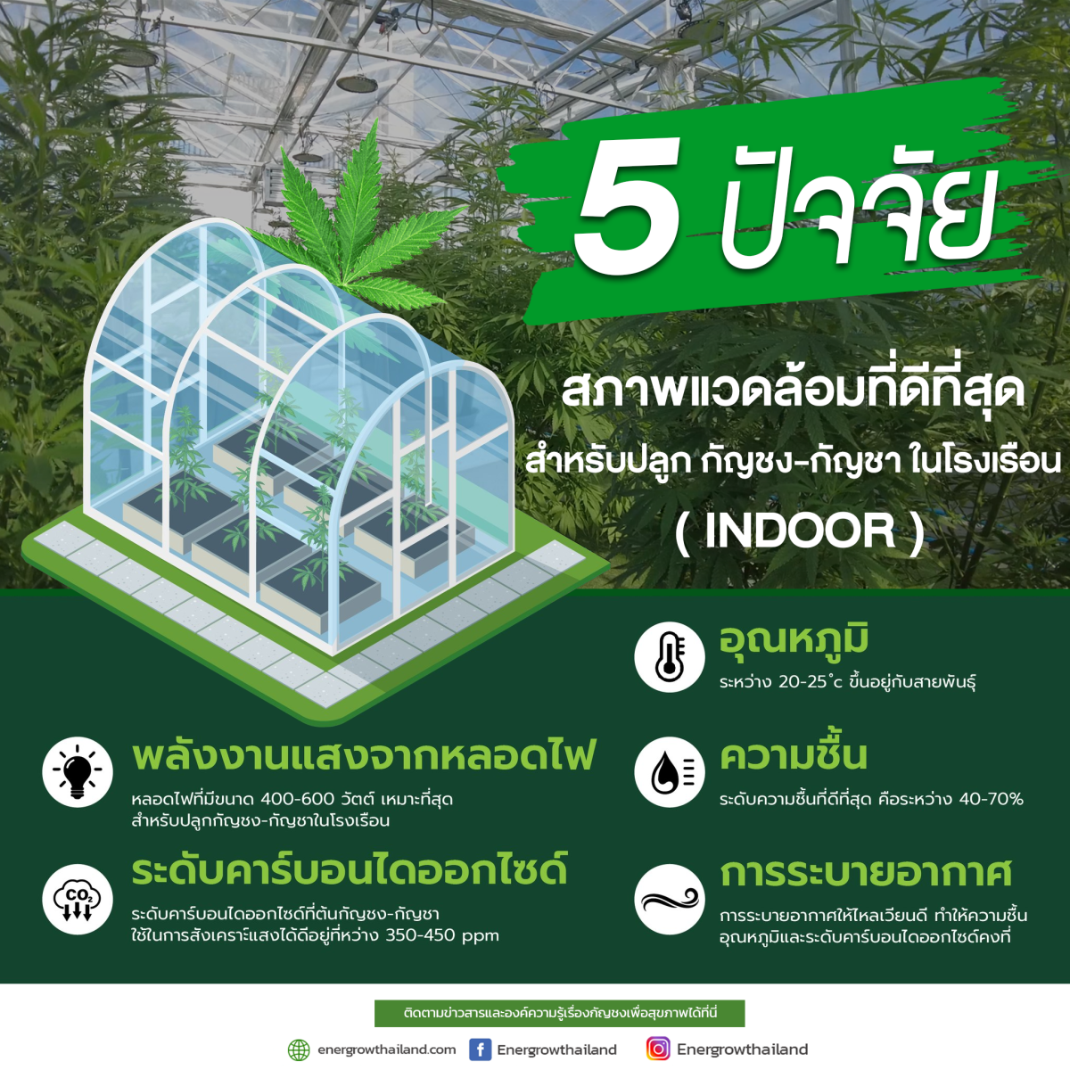 5 factors, the best environment for growing hemp-marijuana in ...