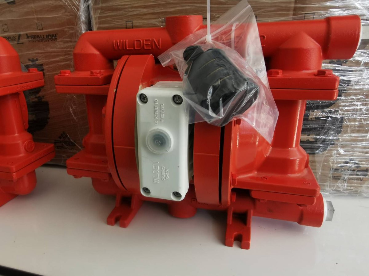 Diaphragm Pump, Wilden, T2-AAAAB-NES-NE-ABN-0014 - chumathailand