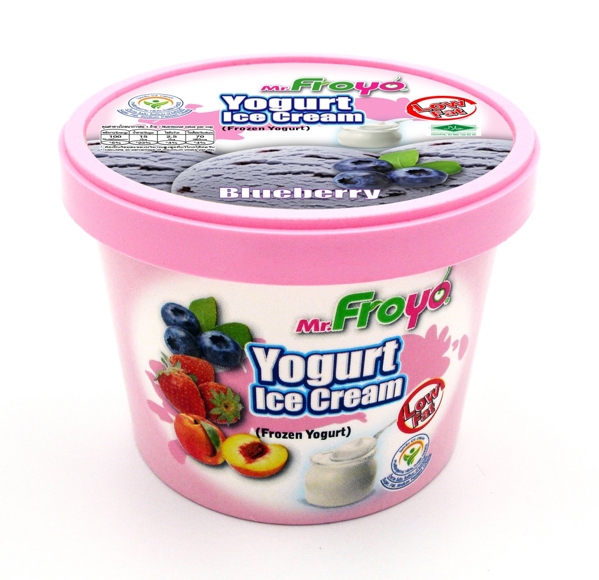 Mr.Froyo Yogurt Ice Cream (BLUEBERRY) - budsicecream