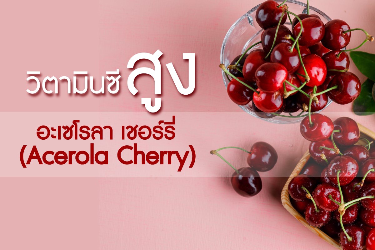 อะเซโรลา เชอร์รี่ มีดีมากกว่า วิตามินซี สูง Acerola Cherry - blink