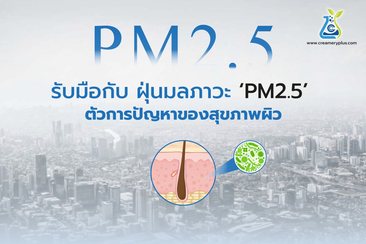 PM2.5 air pollution, the cause of skin health problems - creameryplus