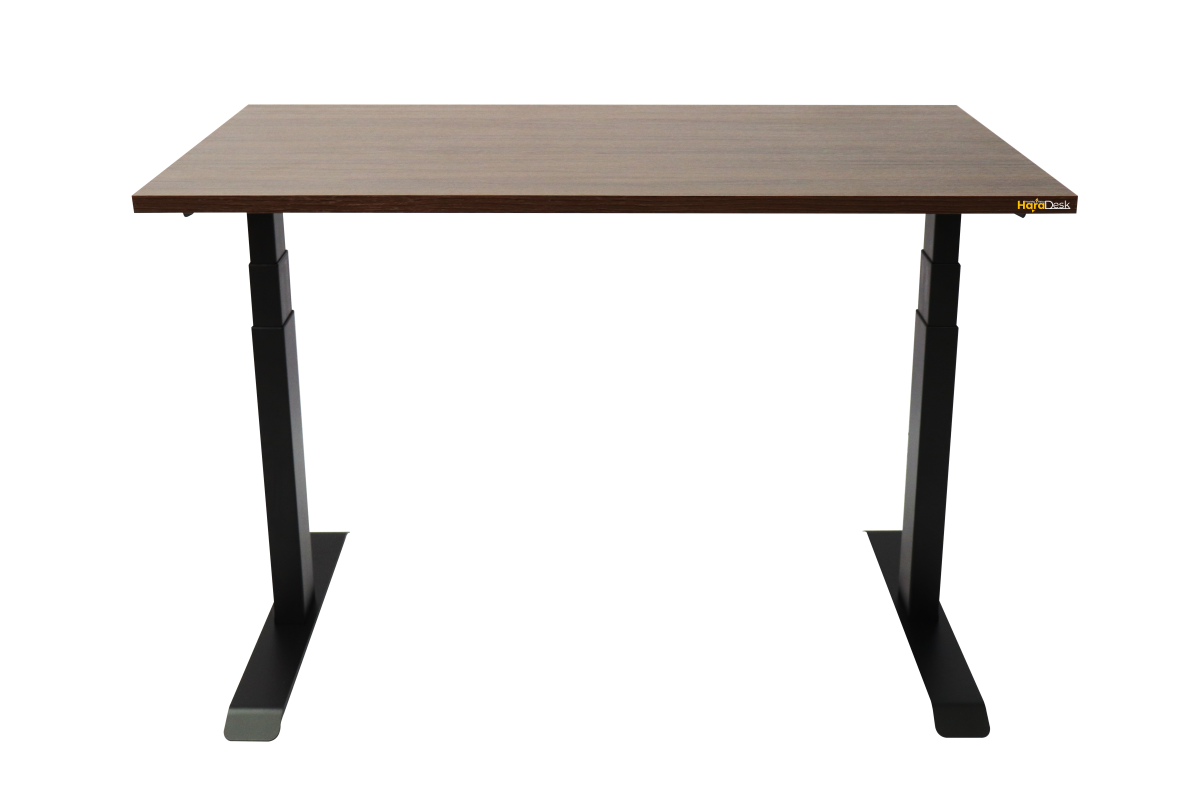 โต๊ะปรับระดับไฟฟ้า Hara Desk - harachairthailand