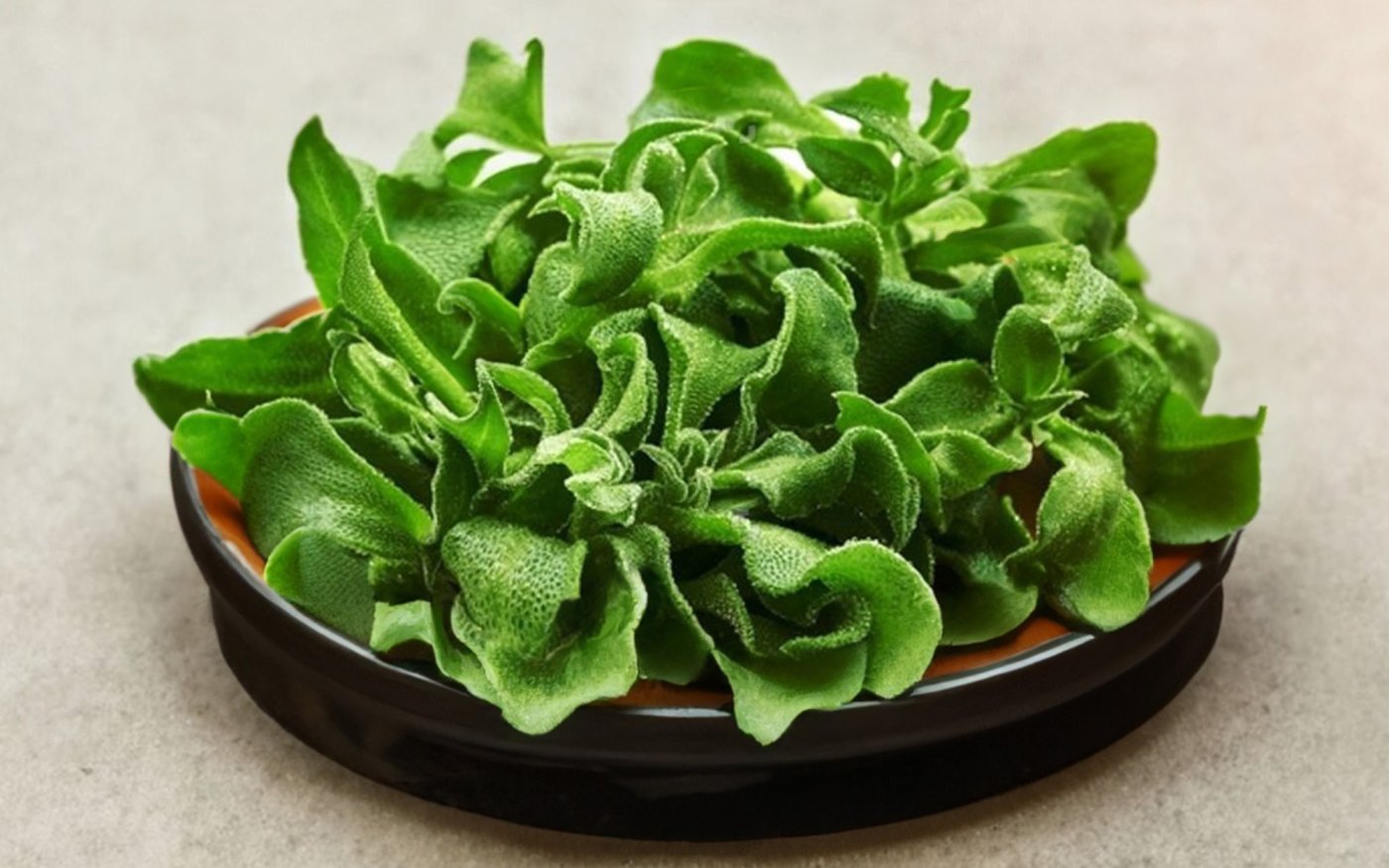 Crystal Ice Plant: Health Benefits & Culinary Gem
