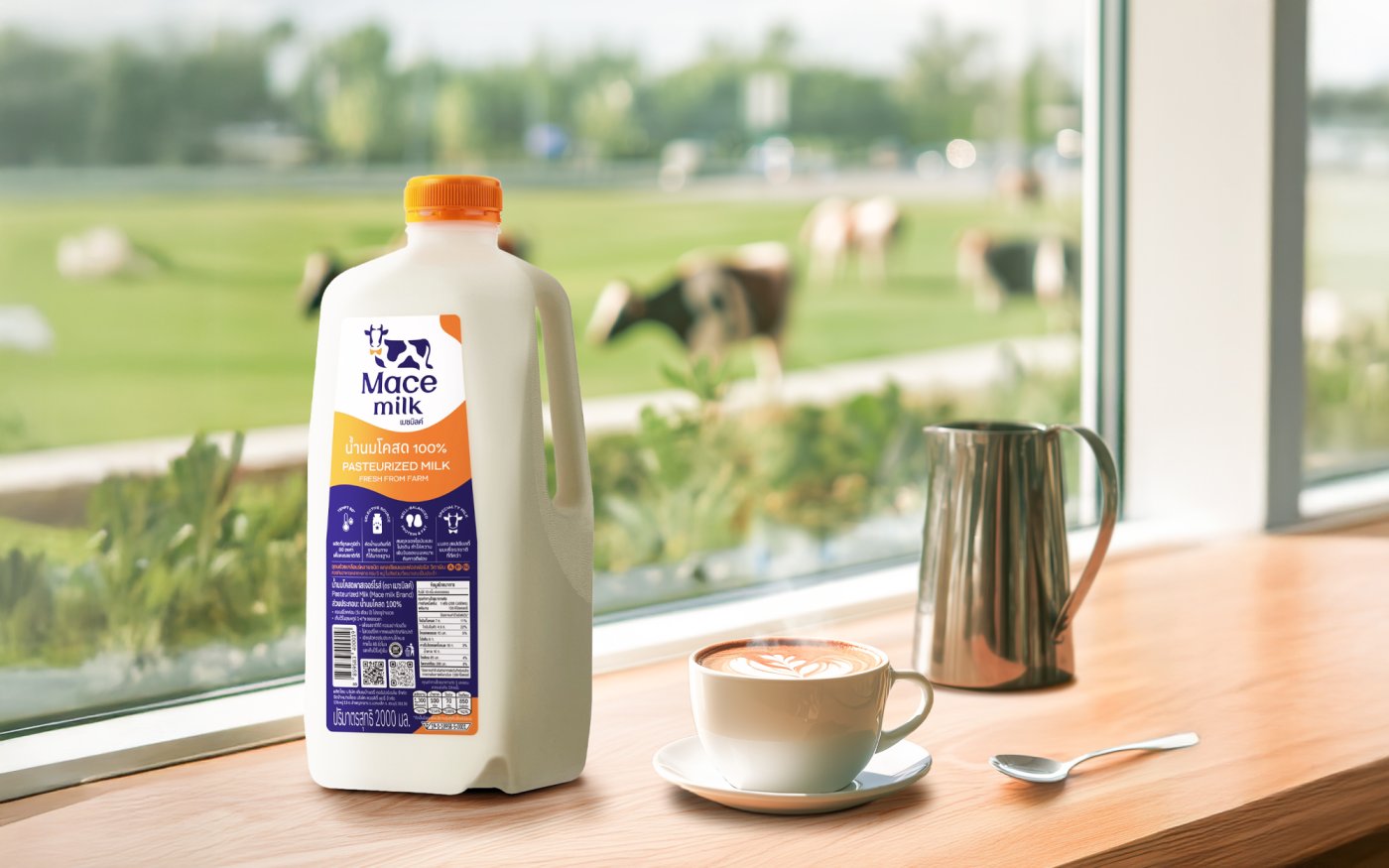 Mace Milk: นมสด Specialty จากสระบุรี สำหรับคอกาแฟ