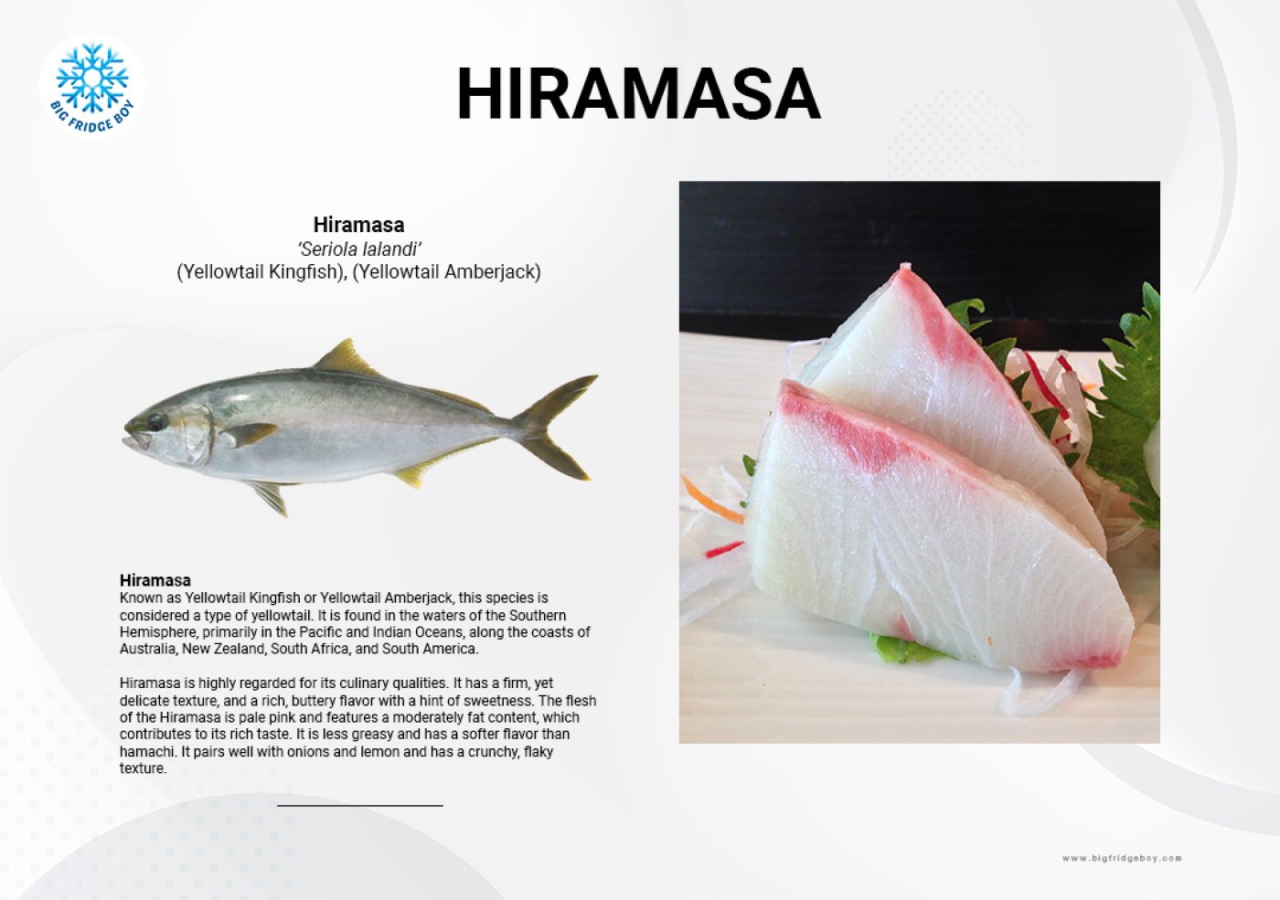 5 Amberjack You Should Know: "Hamachi, Buri, Hiramasa, Kona Kampachi ...