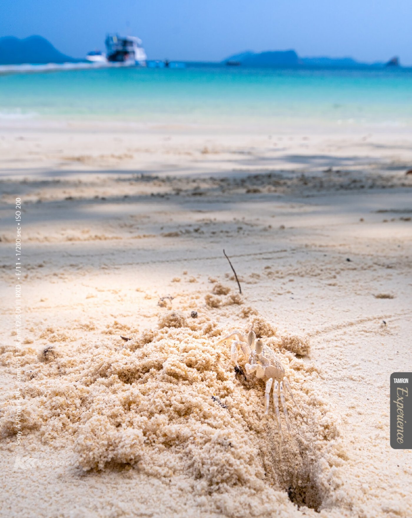 TAMRON EXPERIENCE : WIDE ANGLE ในระยะประชิดที่ทำให้ภาพดูแปลกตา