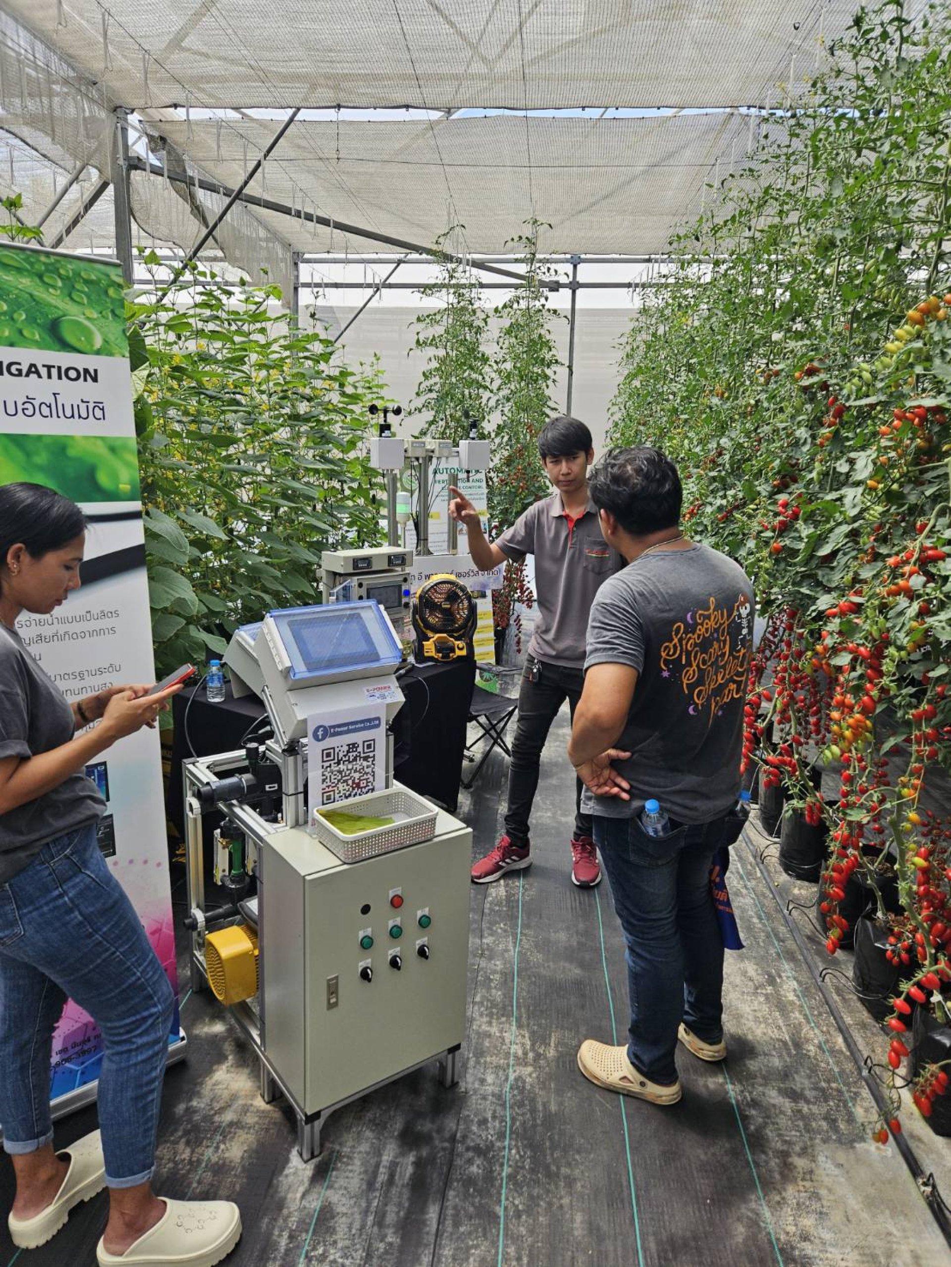 Dutch Greenery Field day 2024