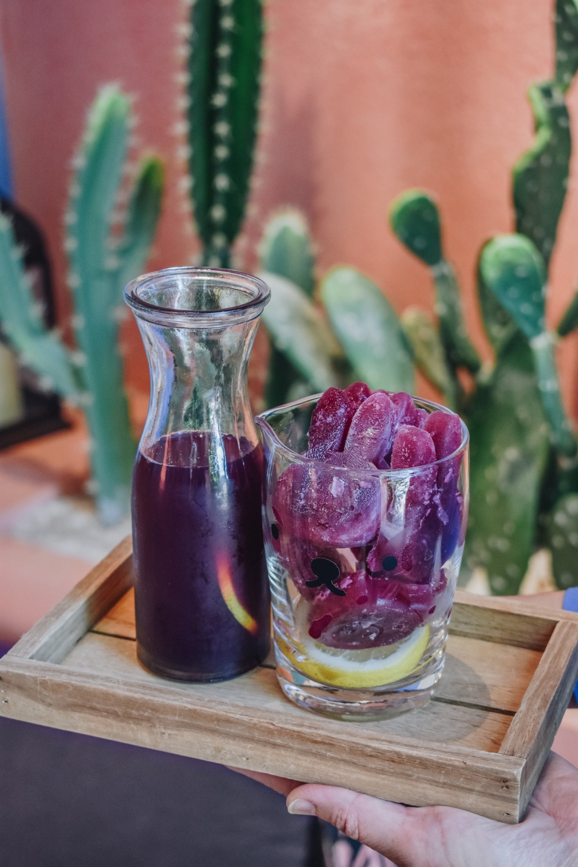 Camel Republic คาเมลรีพับบลิค สวนสัตว์และสวนอูฐชะอำ เพชรบุรี