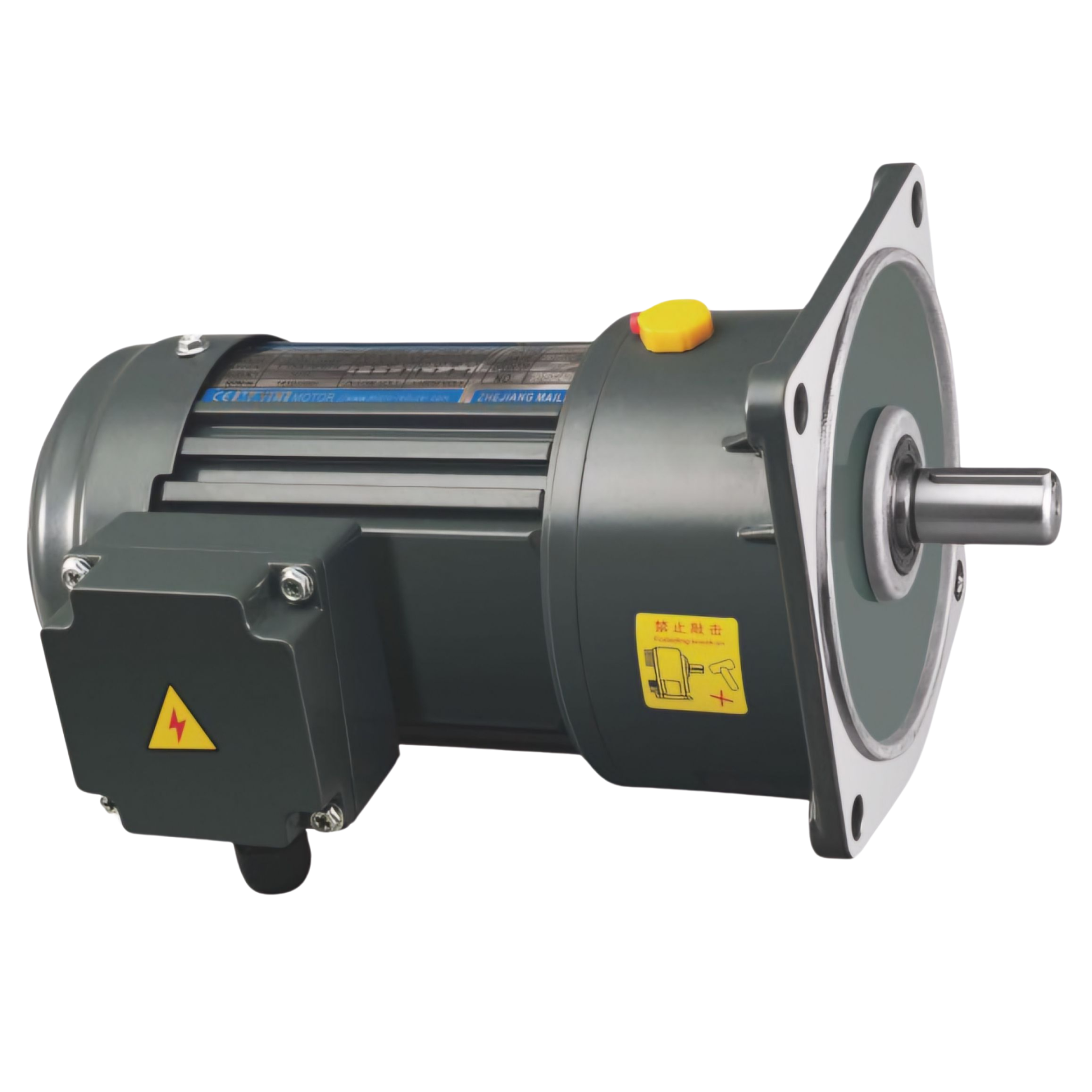 small-ac-gear-motor - WWW.MOTORSAS.COM