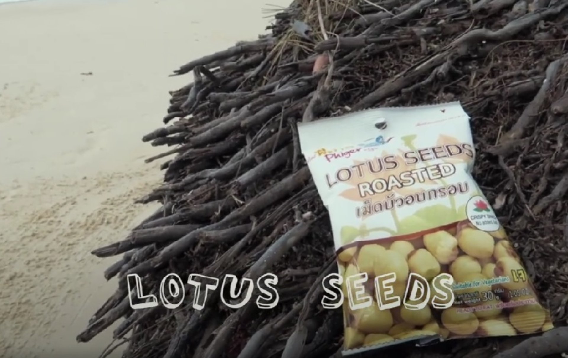 How to grow lotus seeds (How to Plant and Grow Lotus, How to Germinate ...