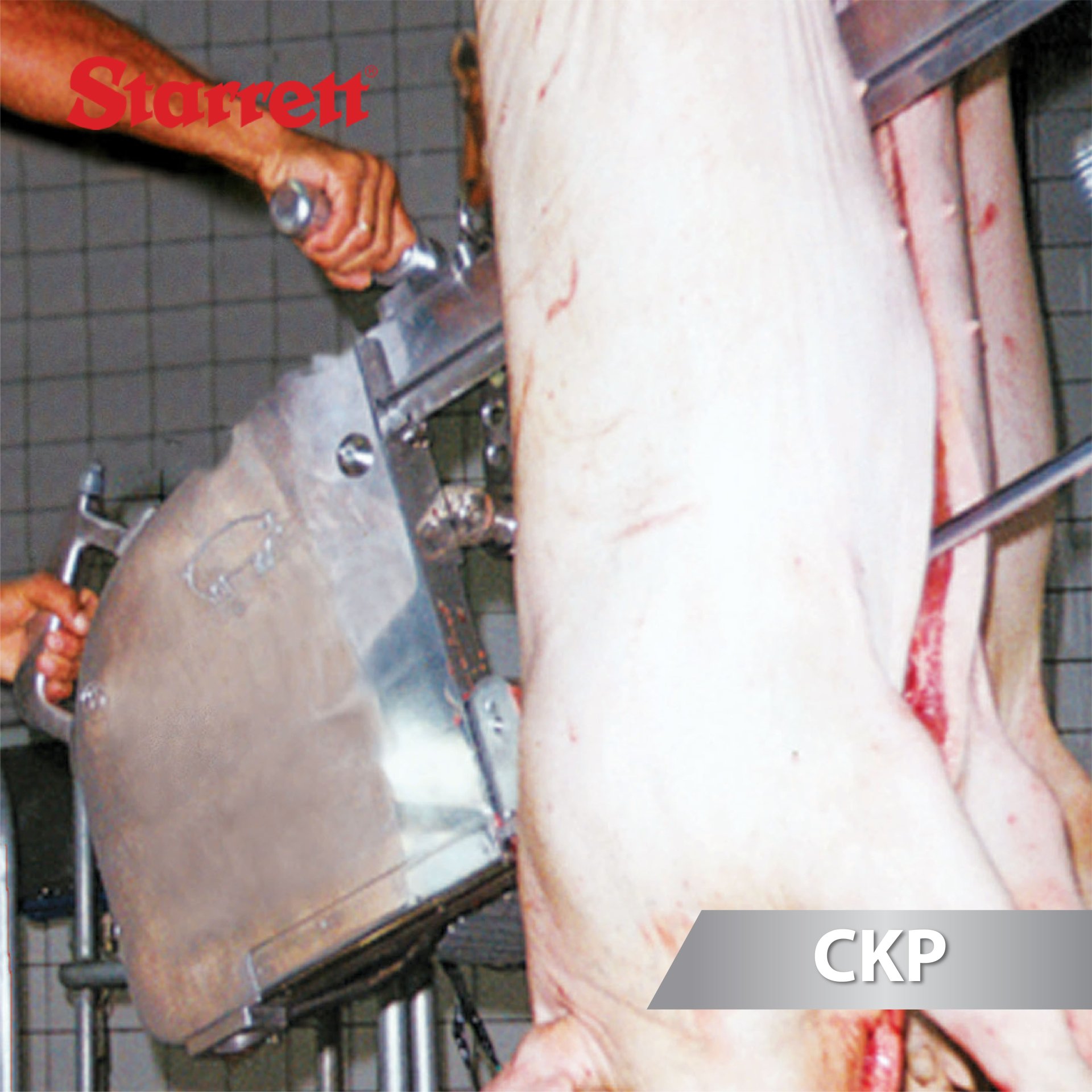 ใบเลื่อยตัดเนื้อสัตว์ - จำหน่ายเครื่องจักรอุตสาหกรรมและเครื่องมือวัด | trongkamol