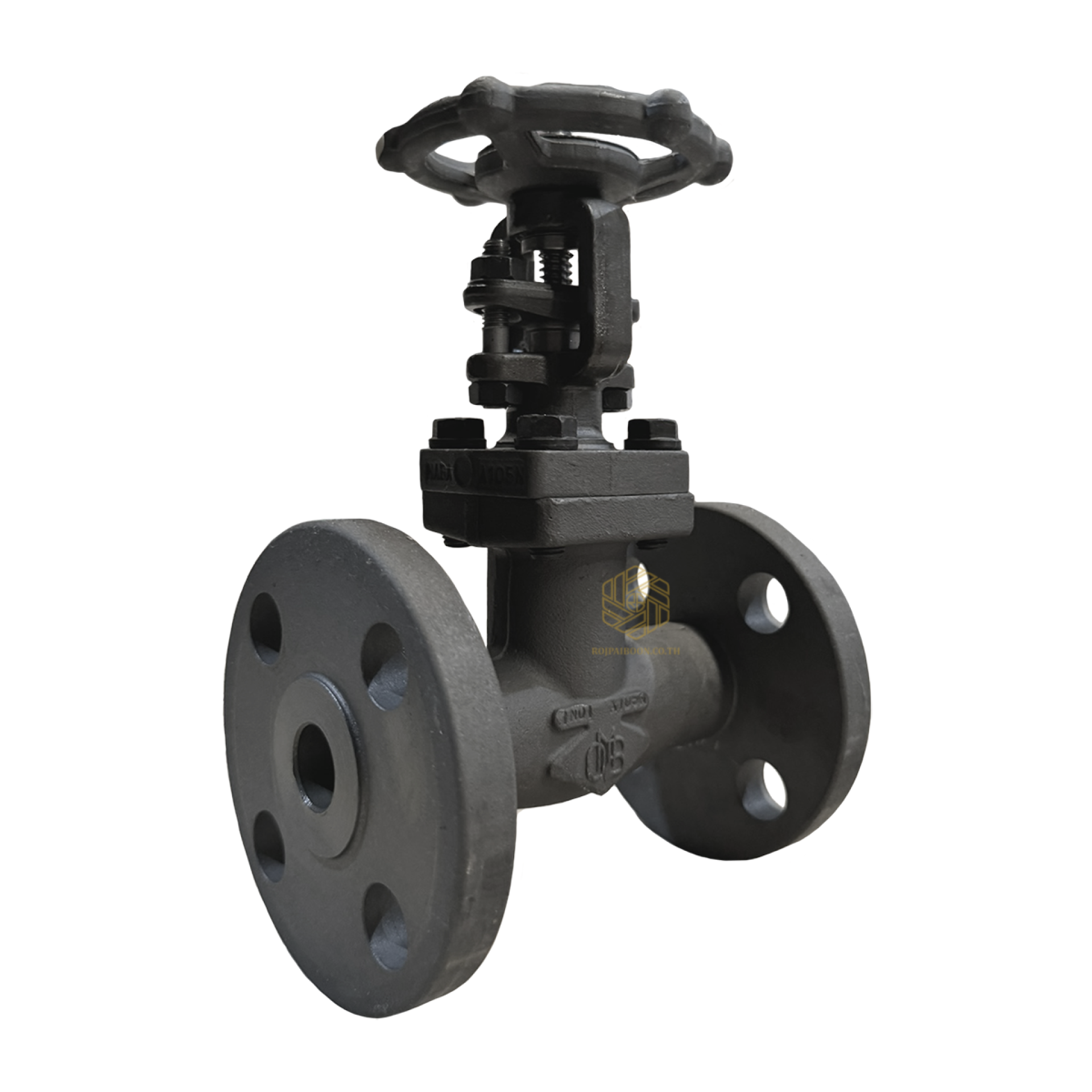 OMB VALVE FIG.Gate A105N 300P/F #5