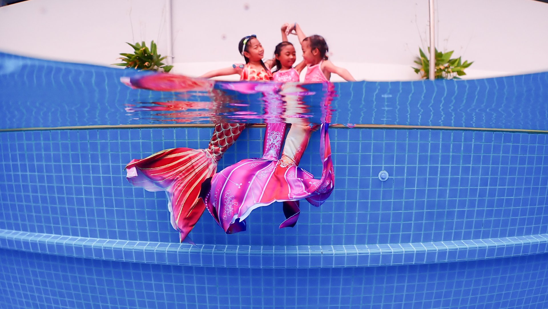 คอร์ส Be a Mermaid (Try Mermaid Course )