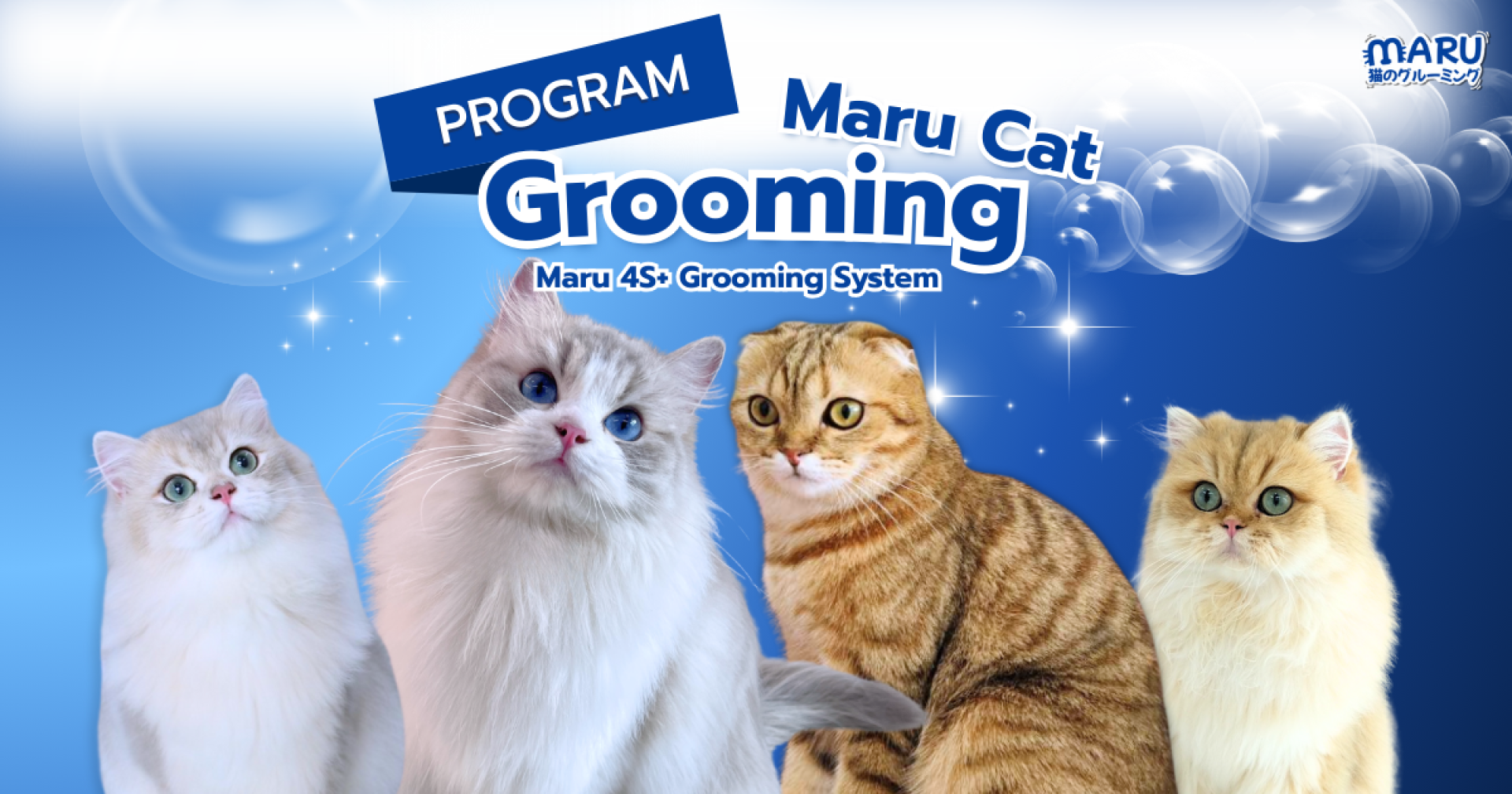 Maru Cat Grooming & Academy | ร้านอาบน้ำแมว & สอนอาบน้ำแมว 4S+