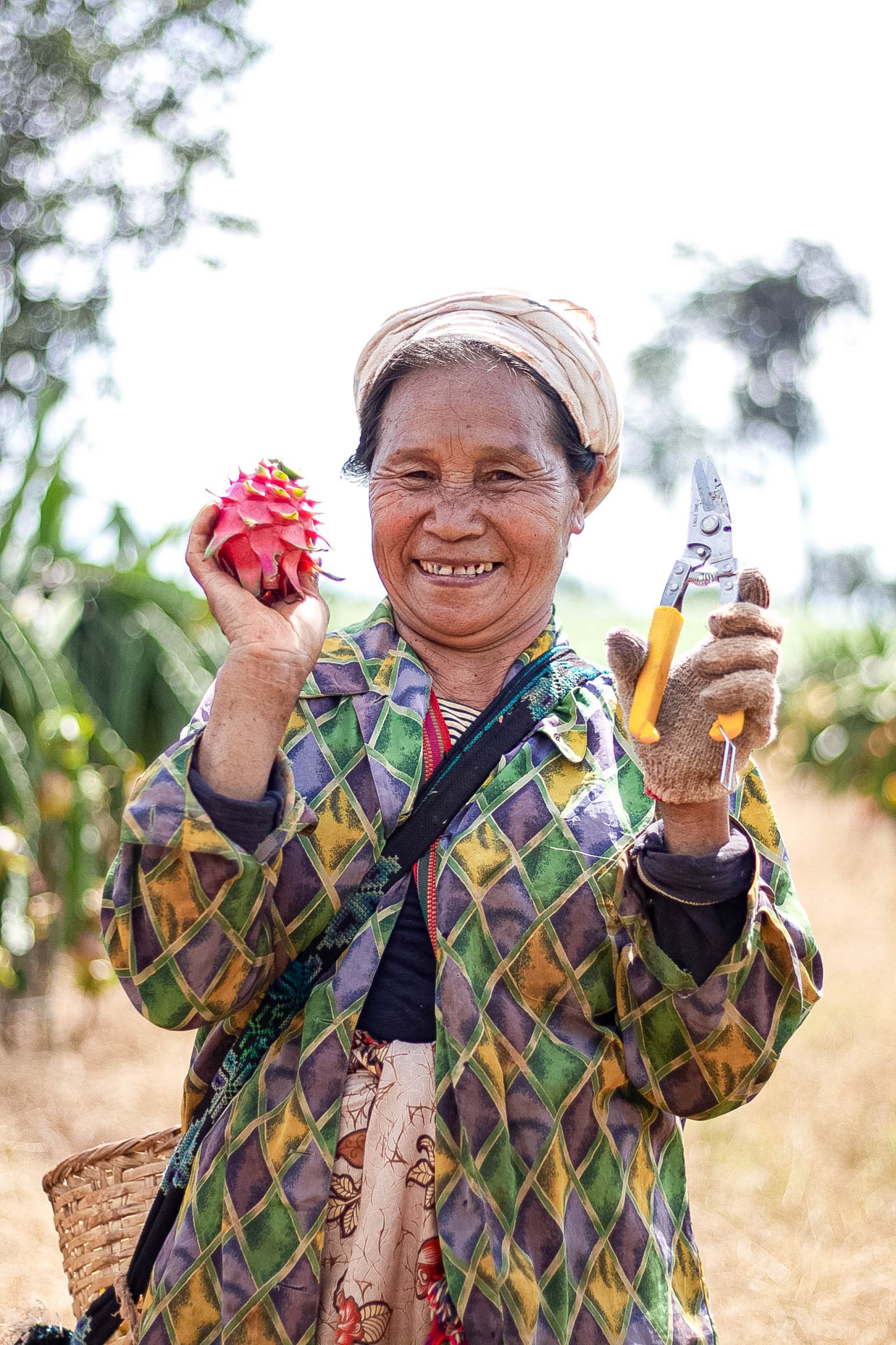 Nanafruit Co.,Ltd. - Manufacturer of Dehydrated fruit