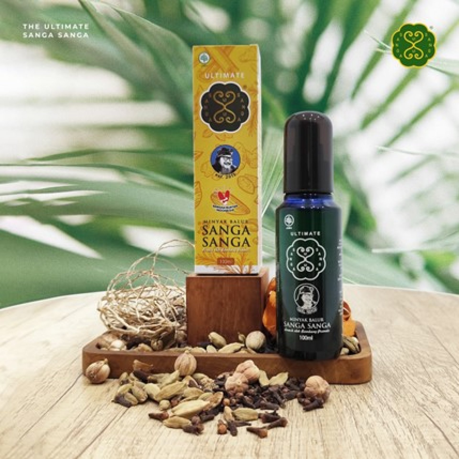 Rahasia Minyak Sanga Sanga