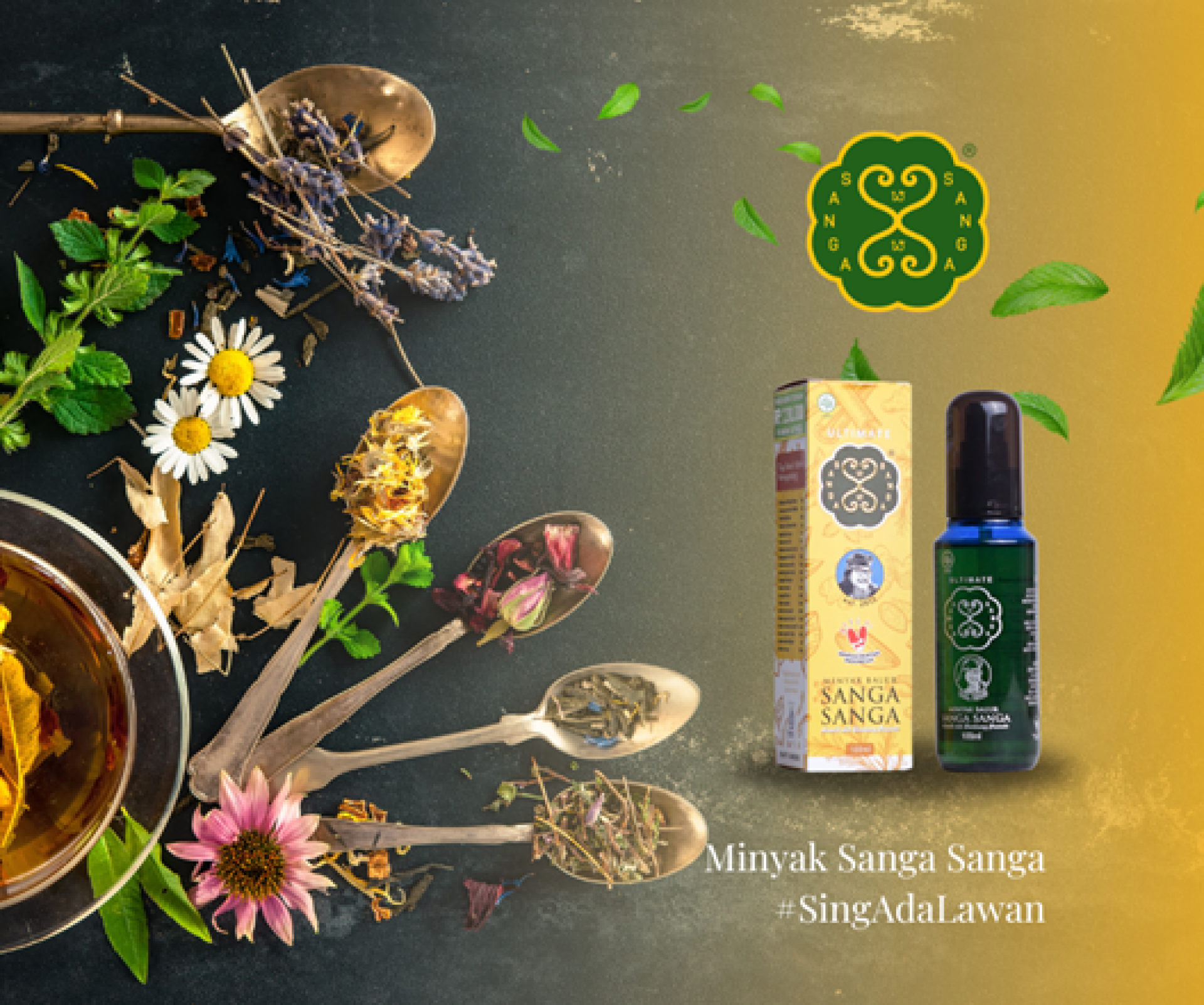 KutusKutus kini menjadi Sanga Sanga Classic yang terbuat dari bahan ...