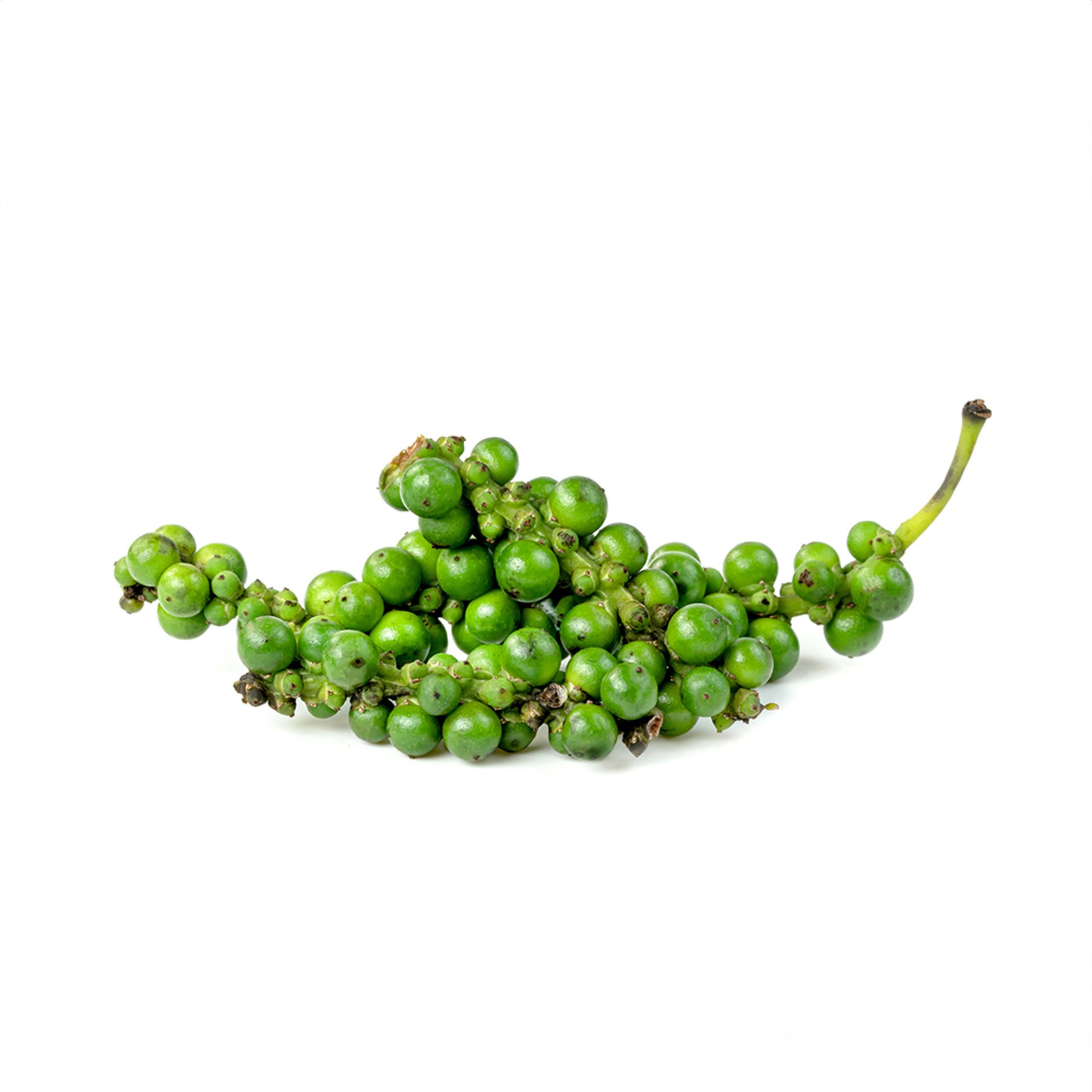 Namdhari's Thai Fresh | Fruits & Vegetables Import & Export