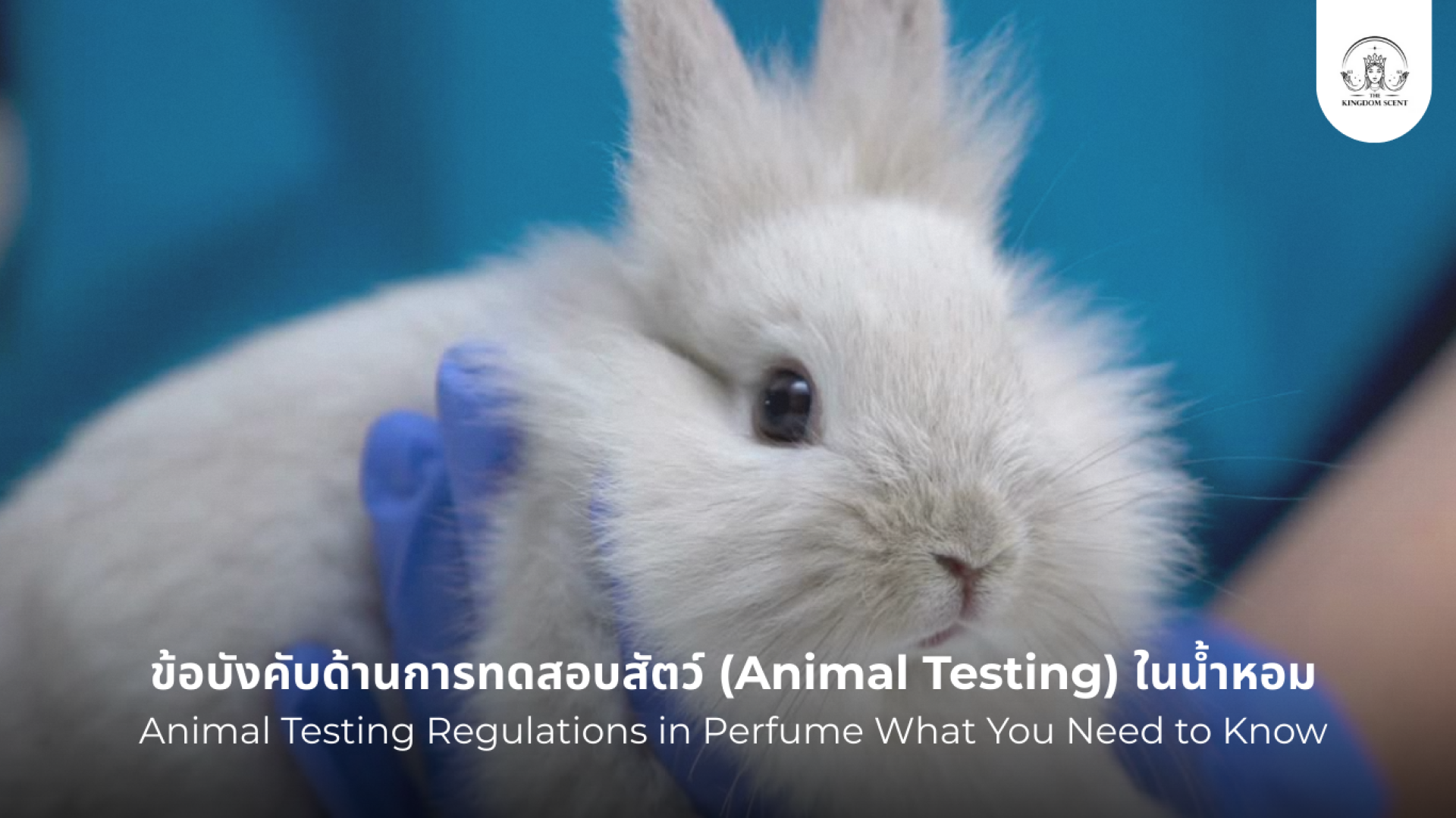 Animal Testing Regulations in Perfume What You Need to Know
