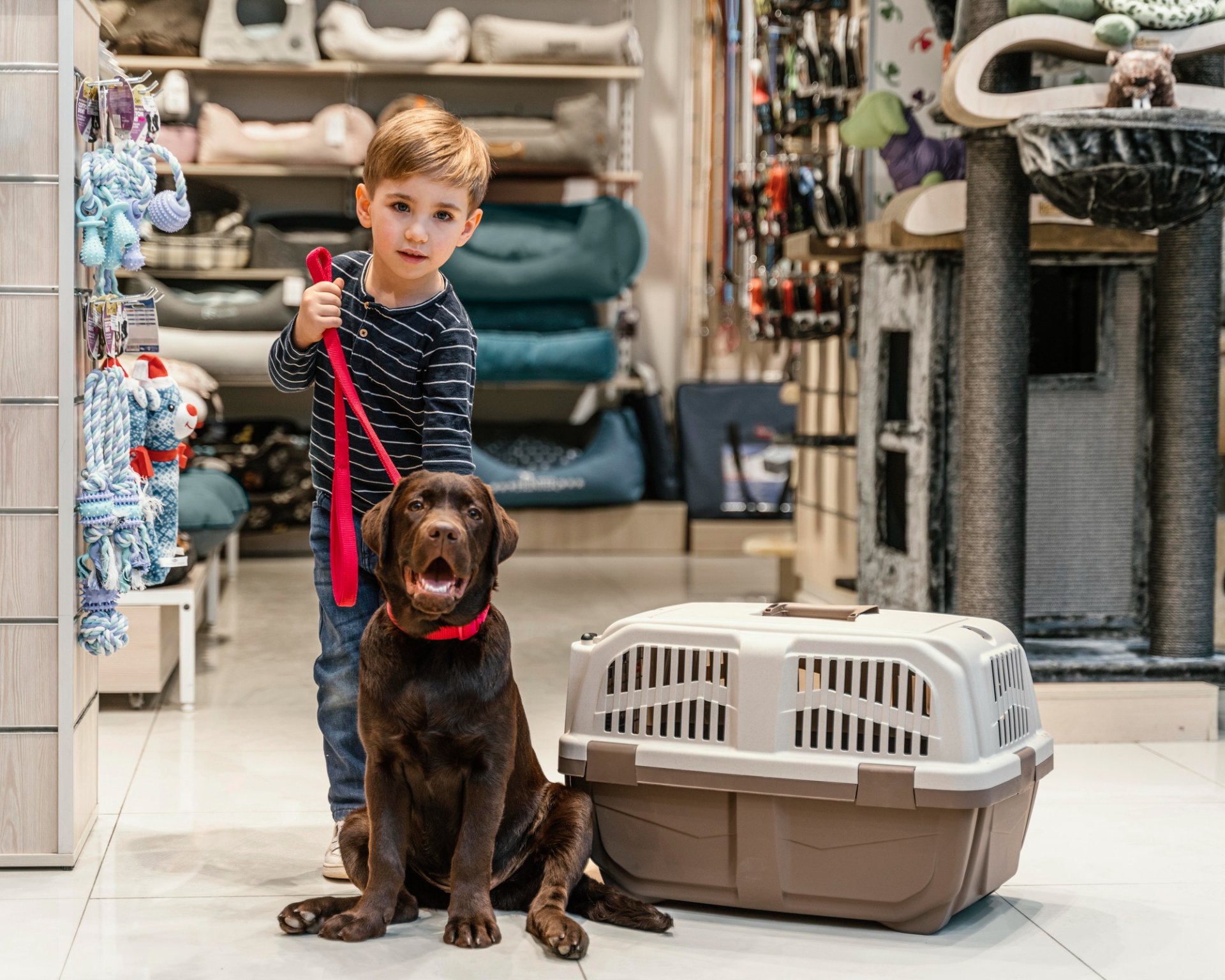 Dog Care Essentials Every Pet Owner Should Know