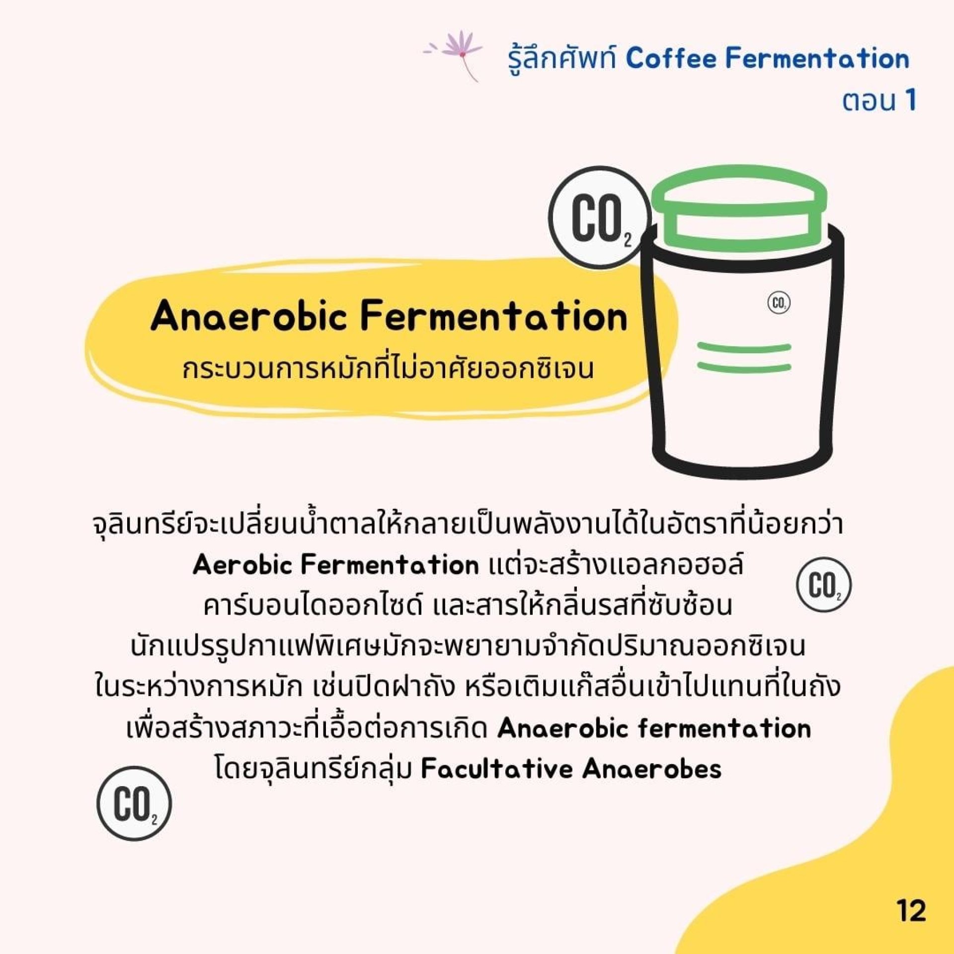 "รู้ลึกศัพท์ Coffee Fermentation ฉบับปรีดา ตอนที่ 1