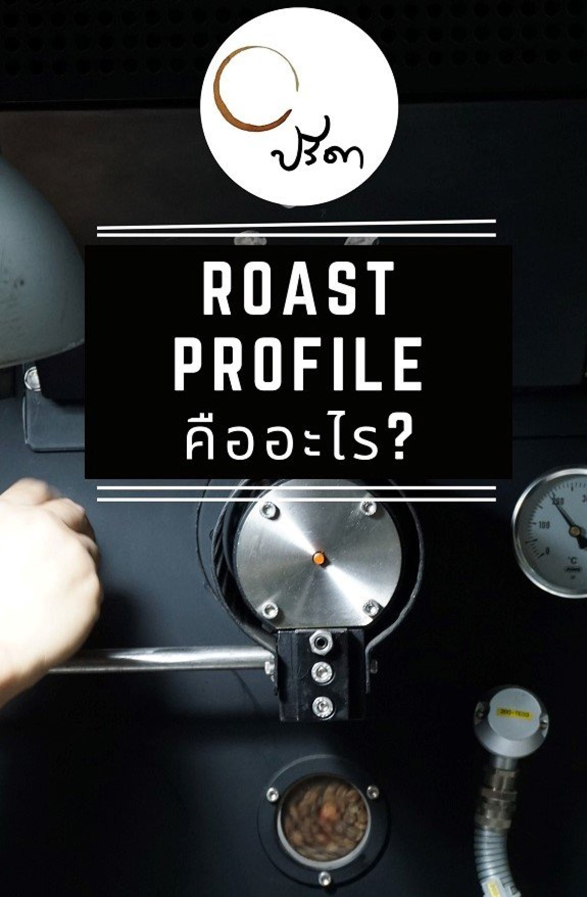 พูดตรงๆลงไปก่อนเลยว่า Roast Profile ก็คือรูปแบบของการคั่ว