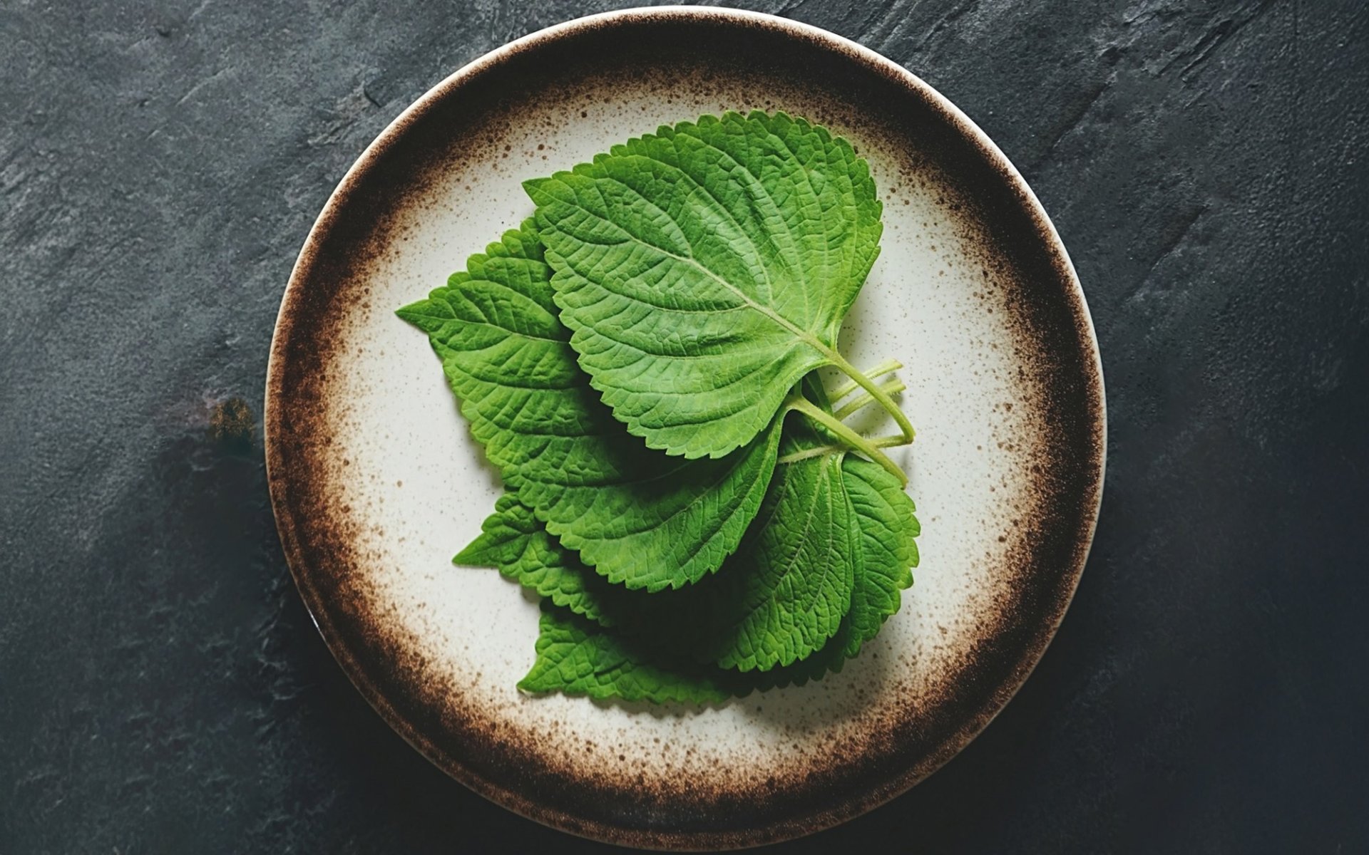 Shiso Leaf: Asian Food & Medicine History