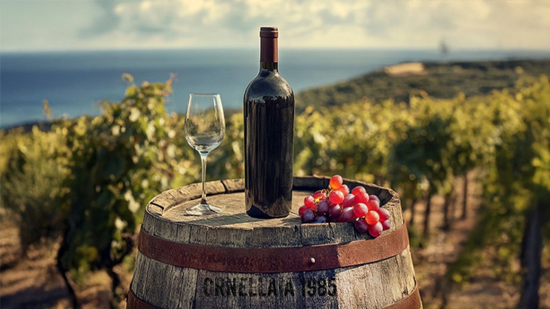 Ornellaia: Iconic Super Tuscan Red Wine from Bolgheri