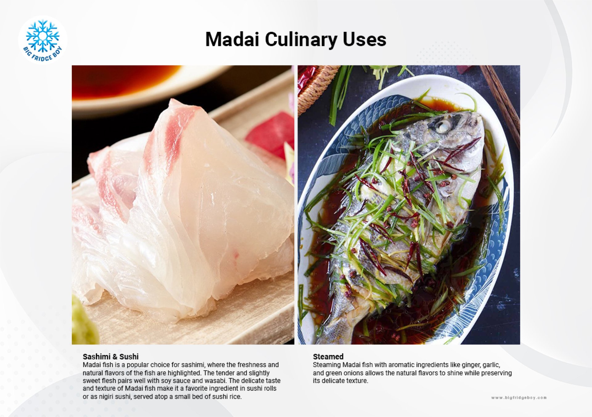 What is Madai fish (Japanese red snapper)