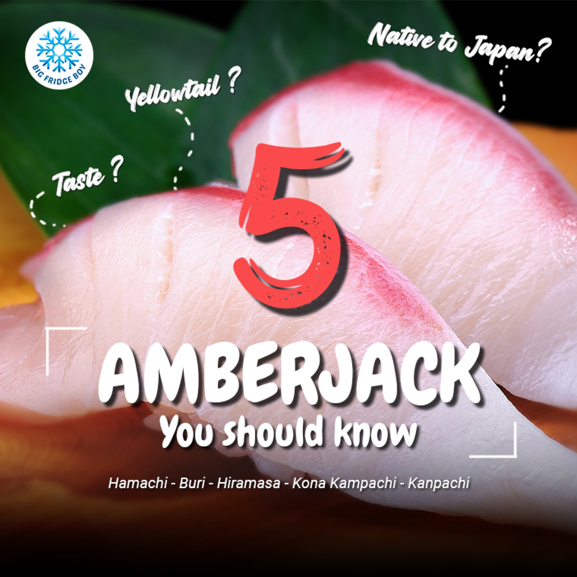 5 Amberjack You Should Know: "Hamachi, Buri, Hiramasa, Kona Kampachi, and Kanpachi"