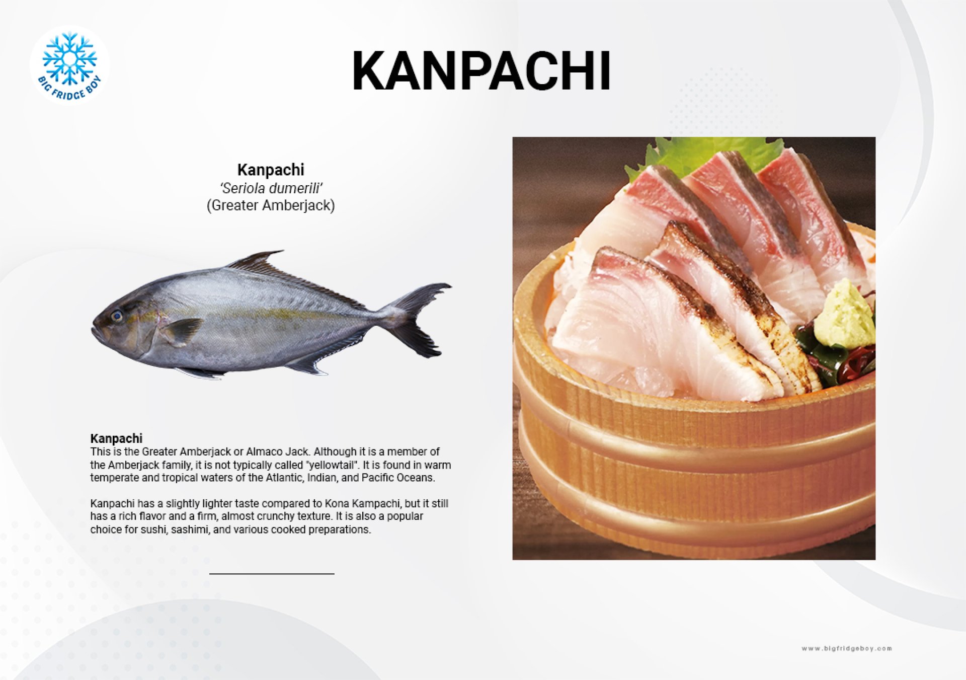5 Amberjack You Should Know: "Hamachi, Buri, Hiramasa, Kona Kampachi ...