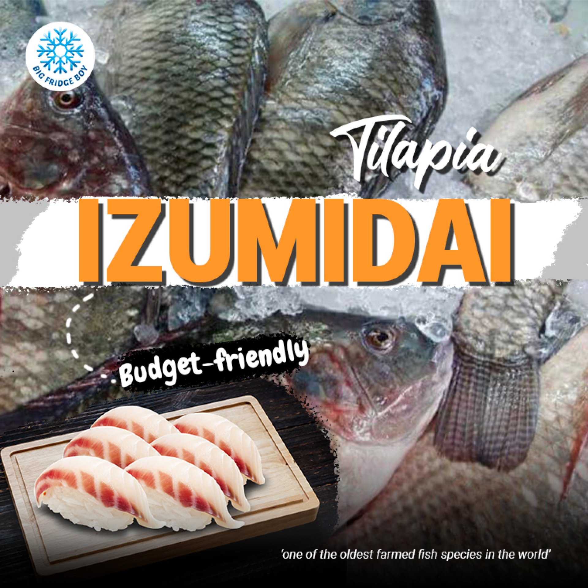 'Izumidai' The [Best Budget-Friendly] Choice for Sushi&Sashimi