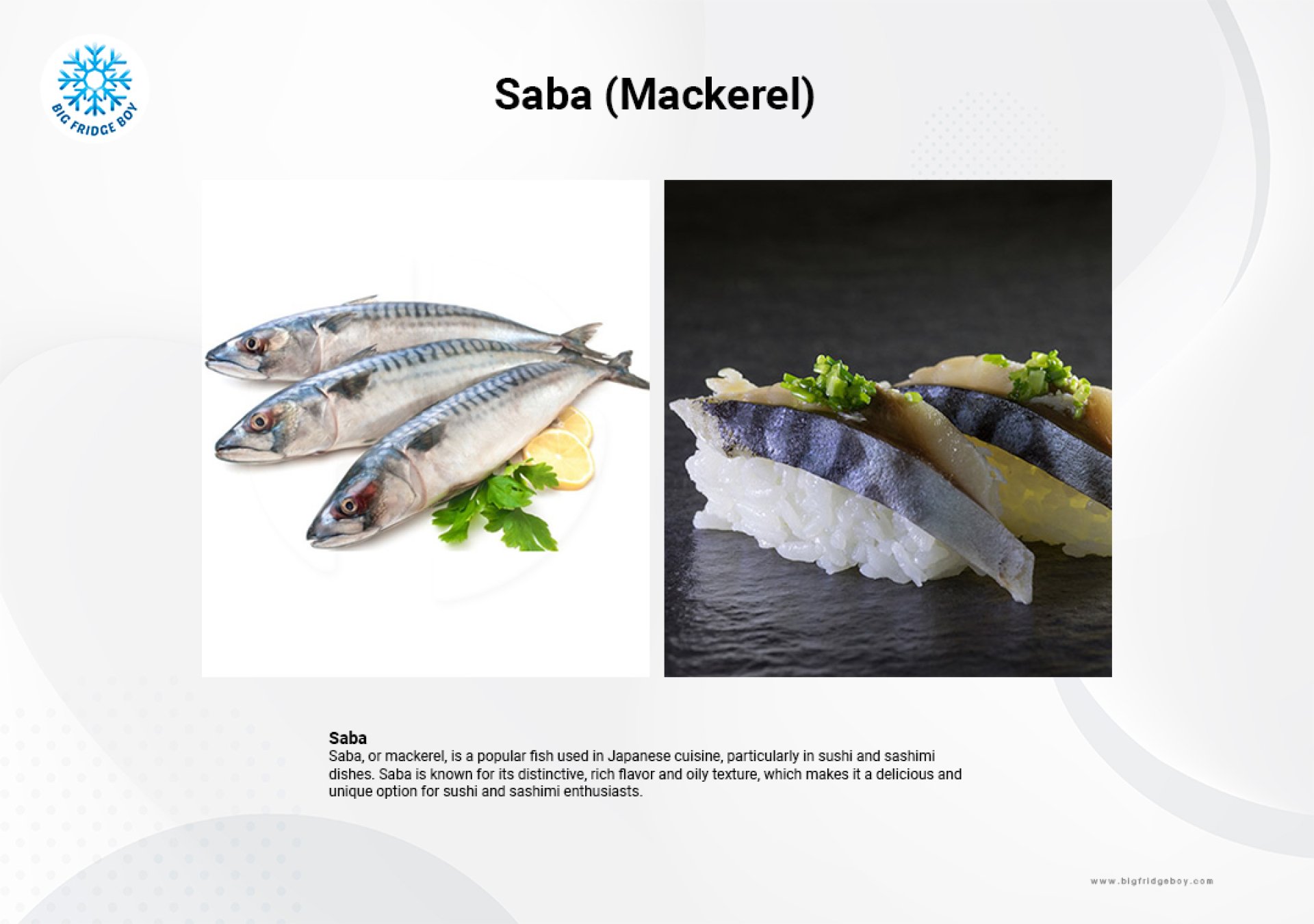 '5 Mackerel' Most Use In Japanese Cuisine